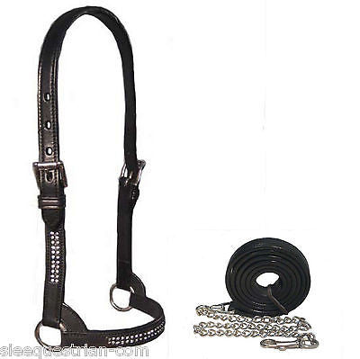 USA Leather Rhinestone Cattle Halter with Brass Chain Lead Calf – SIE ...